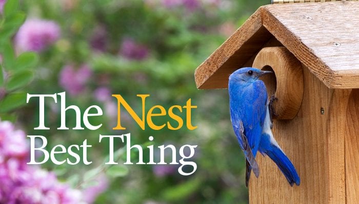 Home | Wild Birds Unlimited