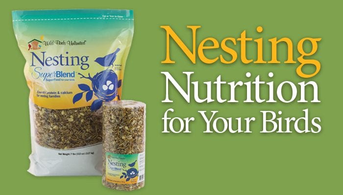 Home | Wild Birds Unlimited